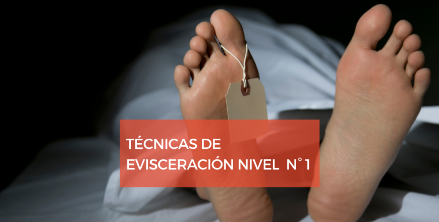 TÉCNICAS EN EVISCERACIÓN NIVEL 1 – Instituto CEF